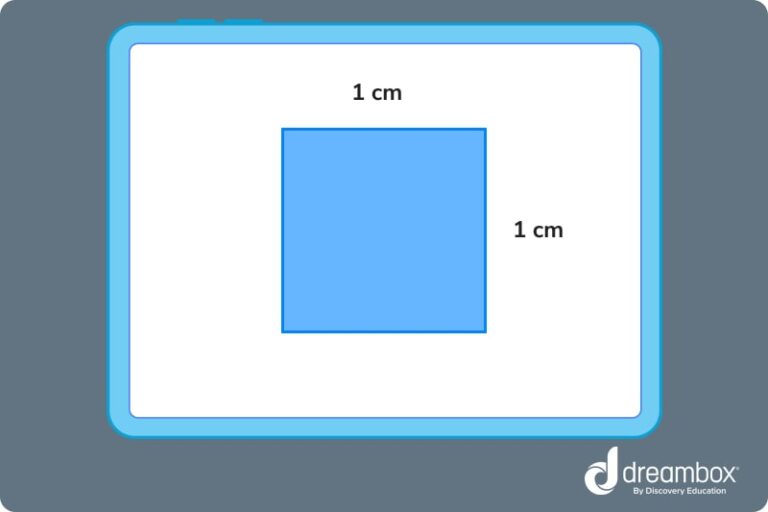 All About Rectangles - Definition, Examples, Formulas | DreamBox