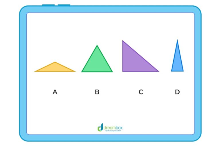 All About Triangles - Definition, Examples, Formulas | DreamBox