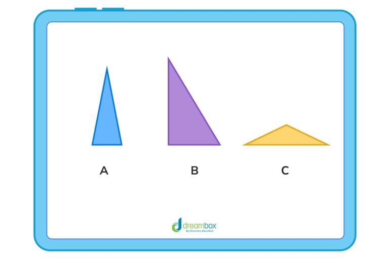 All About Triangles - Definition, Examples, Formulas | DreamBox