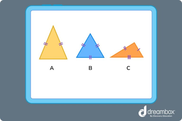 All About Triangles - Definition, Examples, Formulas | DreamBox