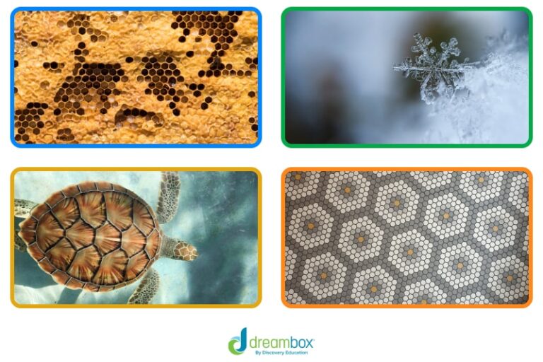All About Hexagons - Definition, Examples, Formulas | DreamBox