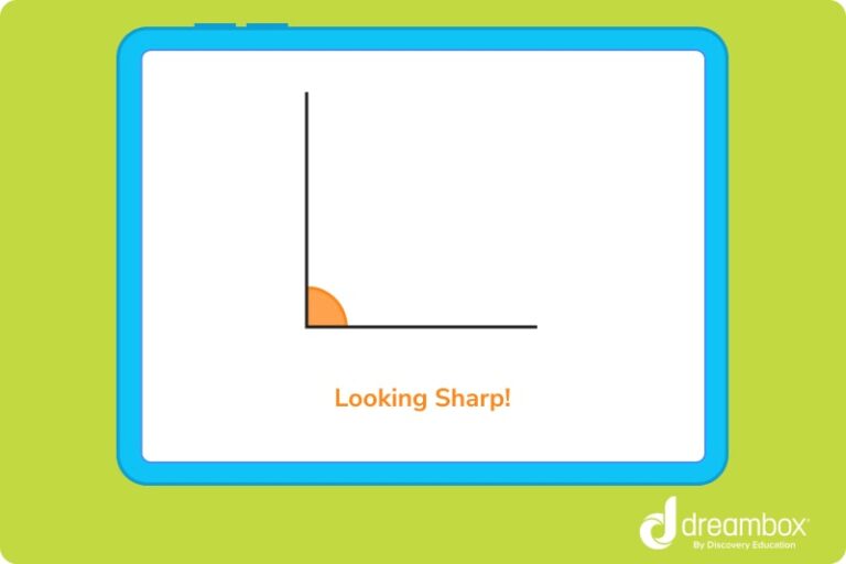 Measuring Angles | DreamBox