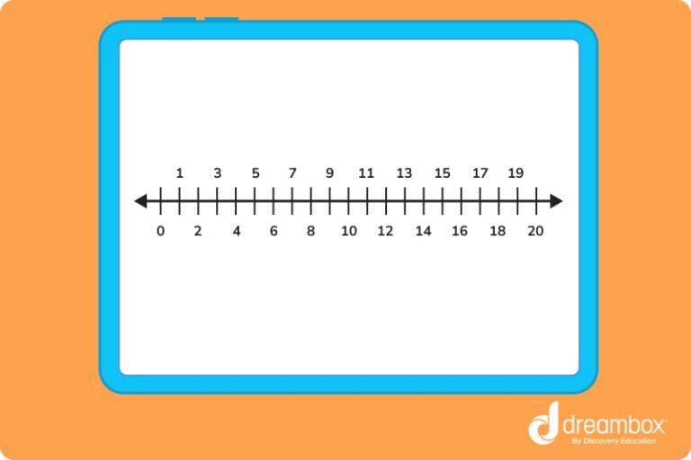 What are Positive Numbers? | DreamBox