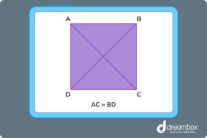 All About Squares - Definition, Examples, Formulas | DreamBox
