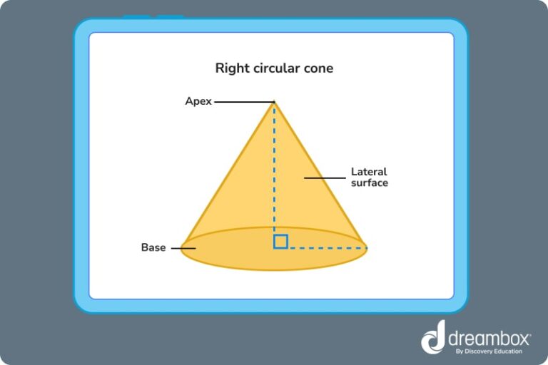 What Is a Cone? Definition, Properties, and Real-World Examples | DreamBox